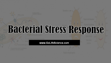Bacterial Stress Response: Surveillance concept of Bacteria