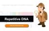 Repetitive DNA: Definition, Location and Structure (Basics)