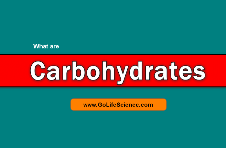 Carbohydrates Definition And List Of All Carbohydrates