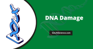 DNA Damage: What are the Causes of DNA damage and its types?