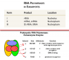 RNA Polymerase: The RNA Synthesis Enzyme Structure and Its Types