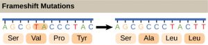 DNA Damage: What are the Causes of DNA damage and its types?