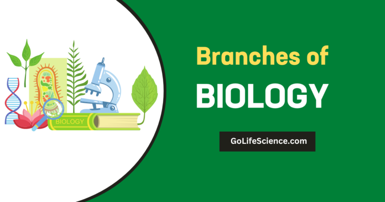 Branches of Life Sciences: Explore the Biological Study