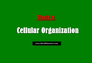 UNIT 2: Cellular Organization (CSIR NET Life Sciences Study material)