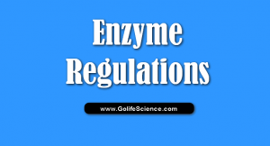 Enzyme Regulation: basics of Enzyme Regulation and its Types