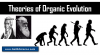 Theories of Organic Evolution Explains Origin of Life (2025)