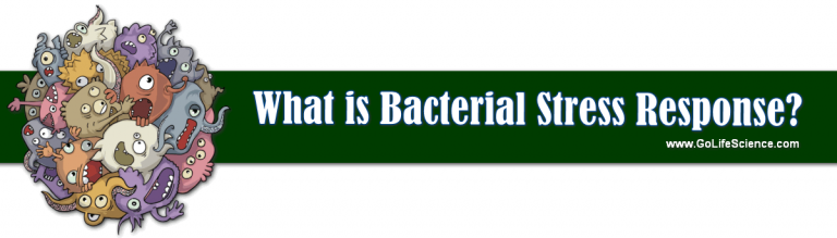 Bacterial Stress Response: Surveillance concept of Bacteria