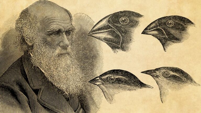 10 Top biological discoveries from 19th century in 2023