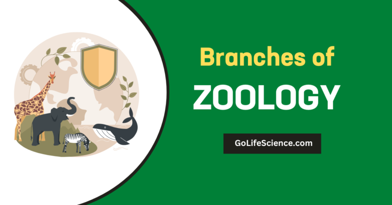 Introduction to Zoology: Basics & Importance