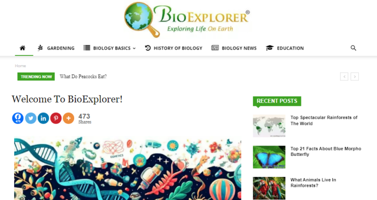 Top 15 Best Biology Websites for High School Students 2024