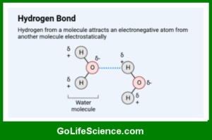 Chemical Bonding: Types, Role in Life Sciences & Applications