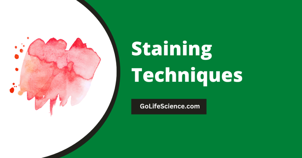 Staining Techniques: A Guide to Microscopic Visualization