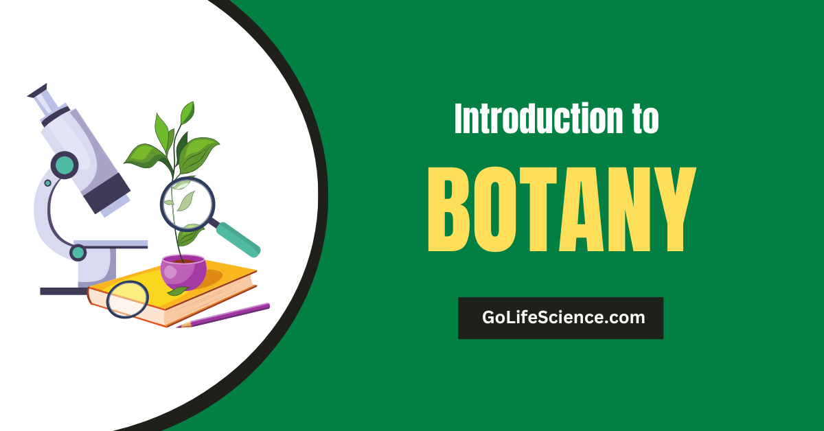 Introduction to Botany: Basics & Importance